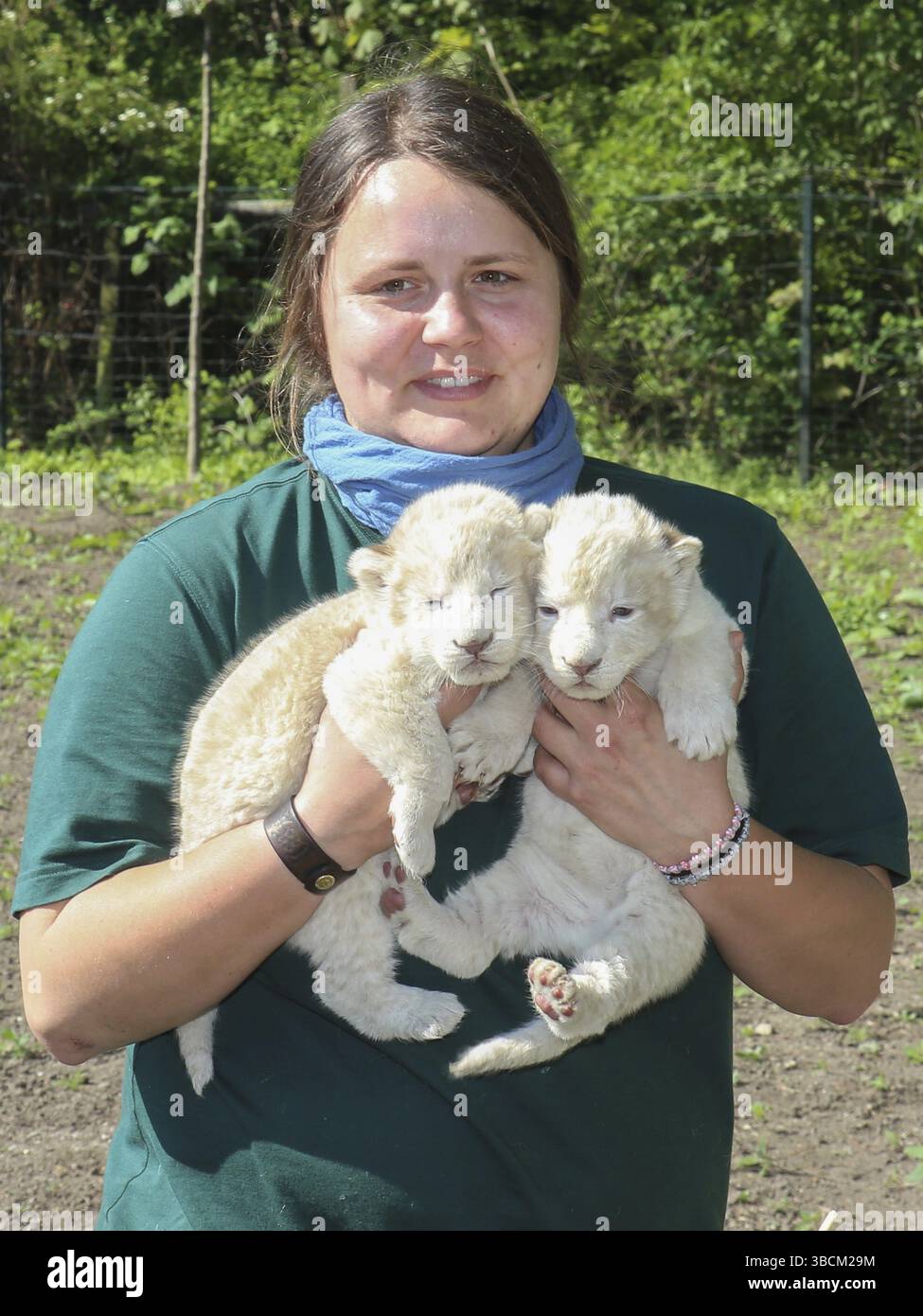 Zoo keeper Julia Forst presents the white lion cubs in the zoological ...