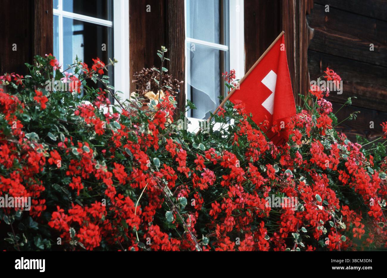 Balcony with flower decoration and swiss flag, Switzerland, Balcony ...