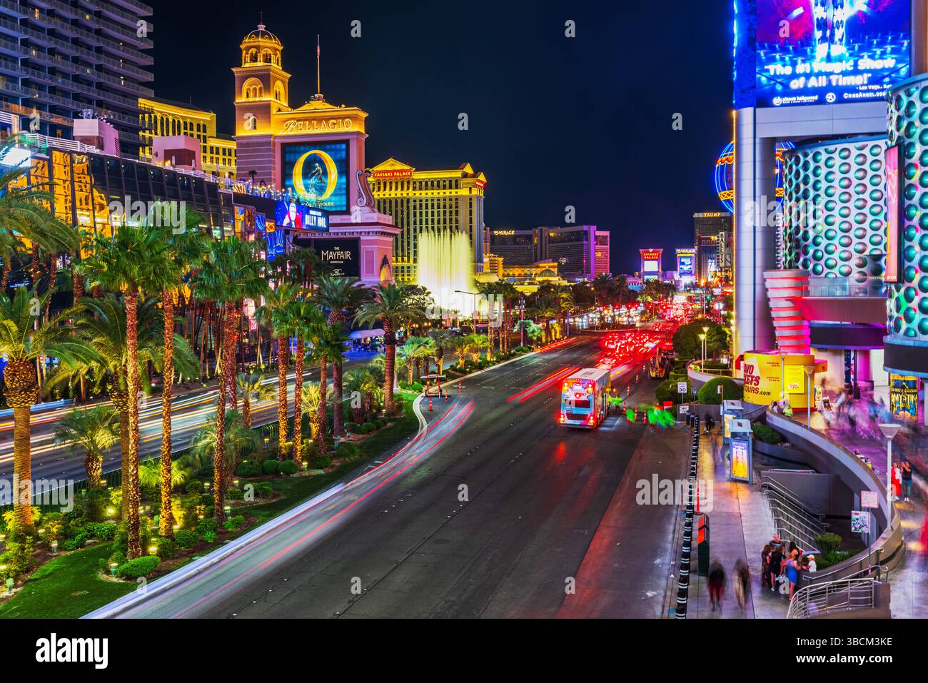 Light trails from cars on Las Vegas Strip at night with palm trees and ...