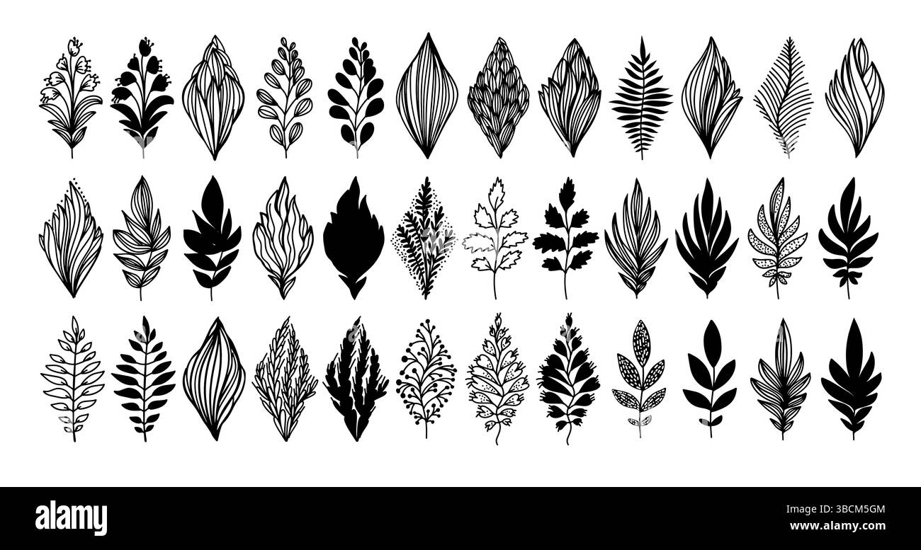 Set of graphic vintage monochrome leaves. Botanical art design. hand ...