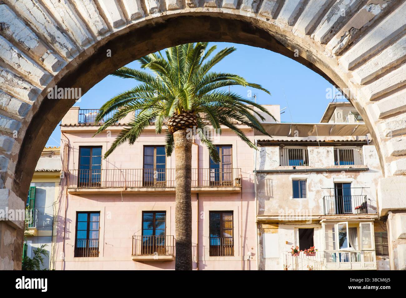 Arched passage. Inside a residential building and a palm tree. The ...