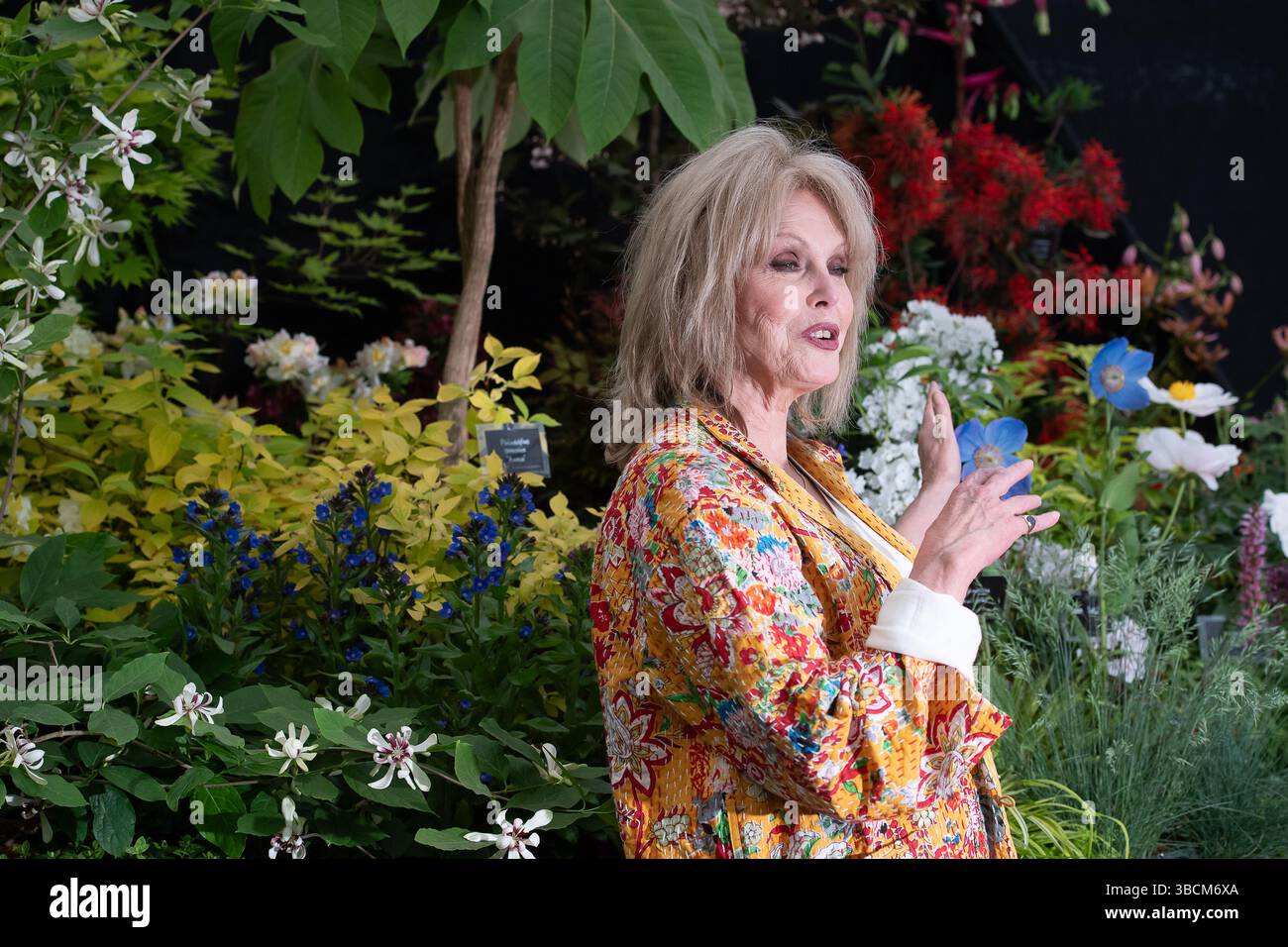 Joanna lumley model hi-res stock photography and images - Alamy
