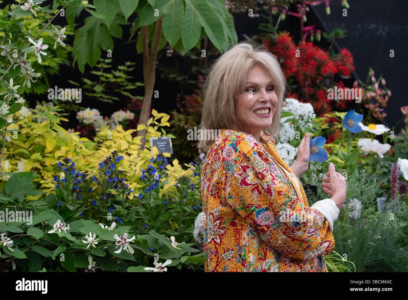 Joanna lumley model hi-res stock photography and images - Alamy
