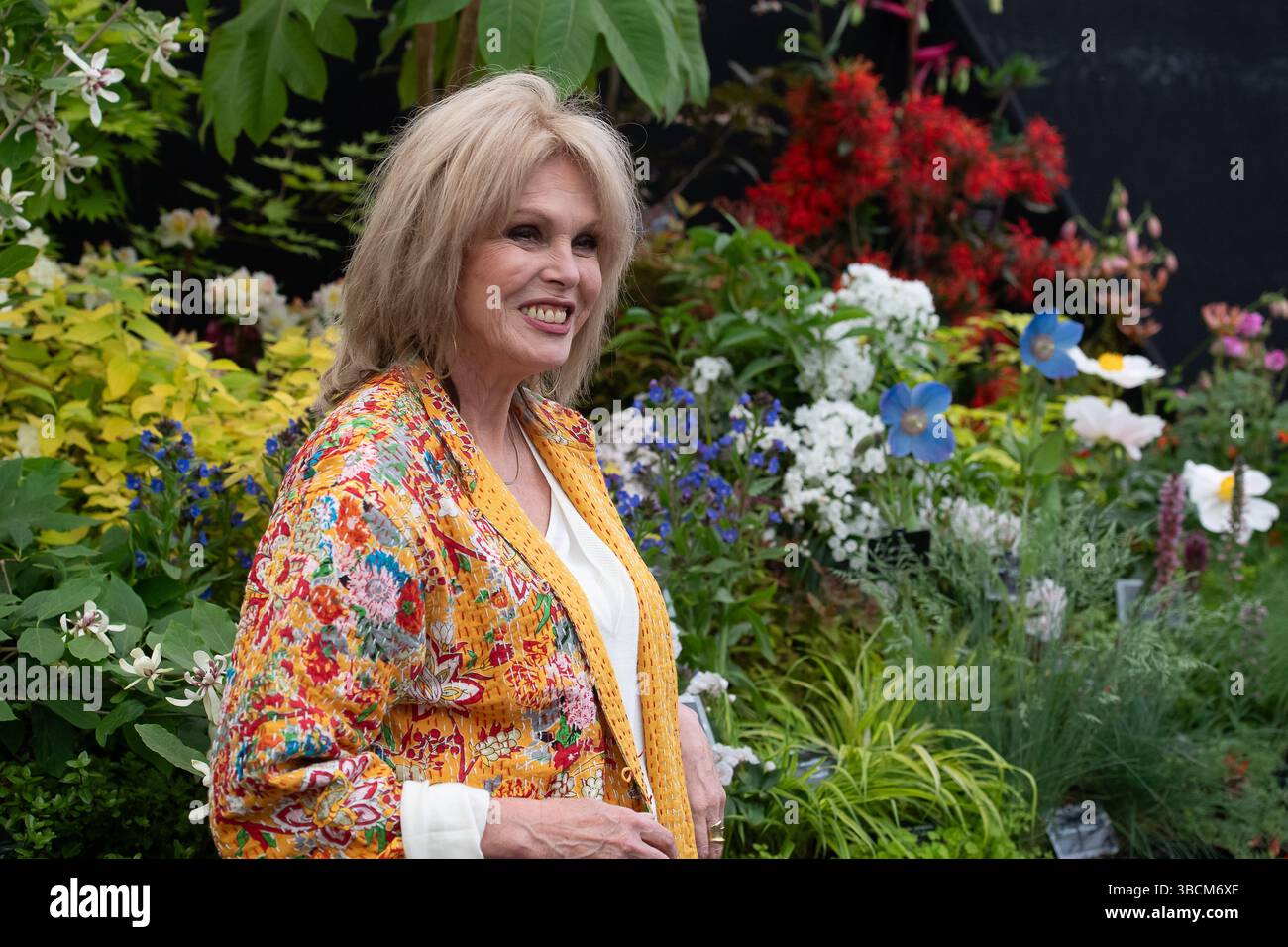 Chelsea, London, UK. 19th May, 2025. BAFTA award winning actress Joanna ...