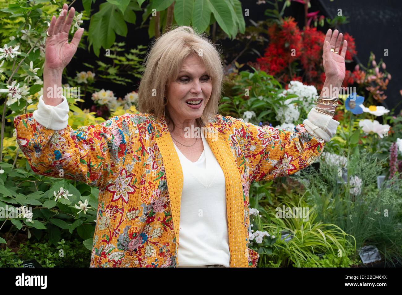 Chelsea, London, UK. 19th May, 2025. BAFTA award winning actress Joanna ...