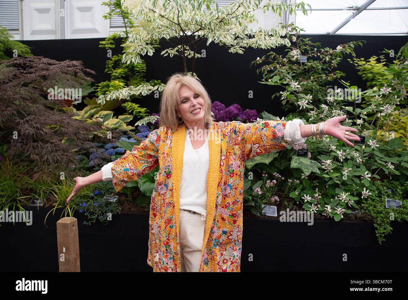 Chelsea, London, UK. 19th May, 2025. BAFTA award winning actress Joanna ...