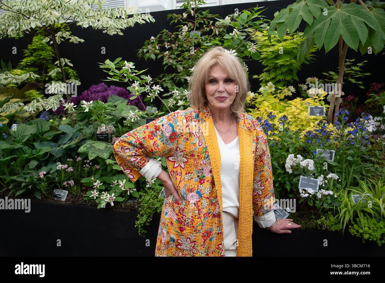 Joanna lumley model hi-res stock photography and images - Alamy