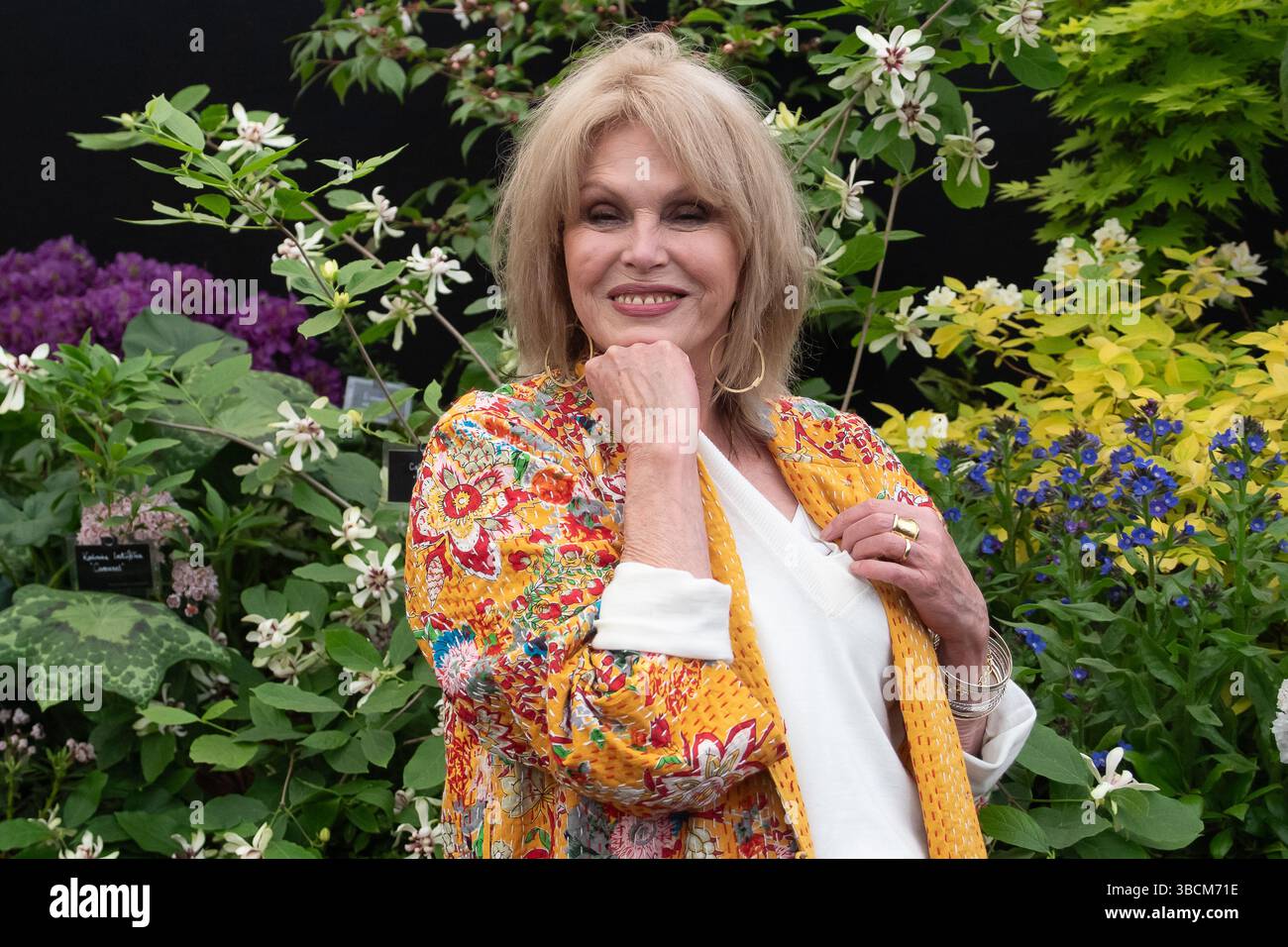 Chelsea, London, UK. 19th May, 2025. BAFTA award winning actress Joanna ...