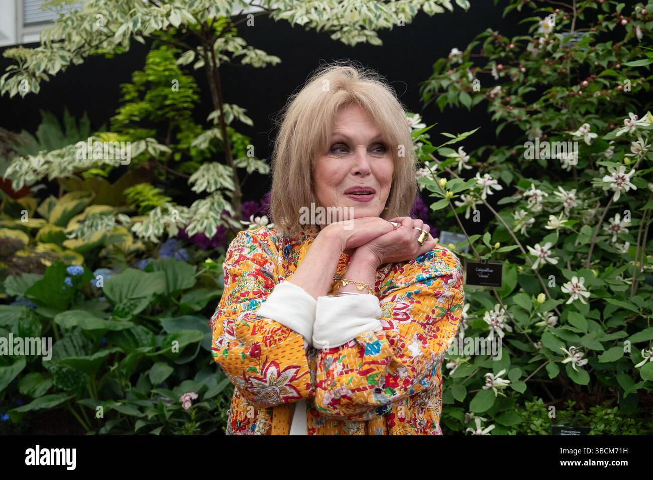 Chelsea, London, UK. 19th May, 2025. BAFTA award winning actress Joanna ...