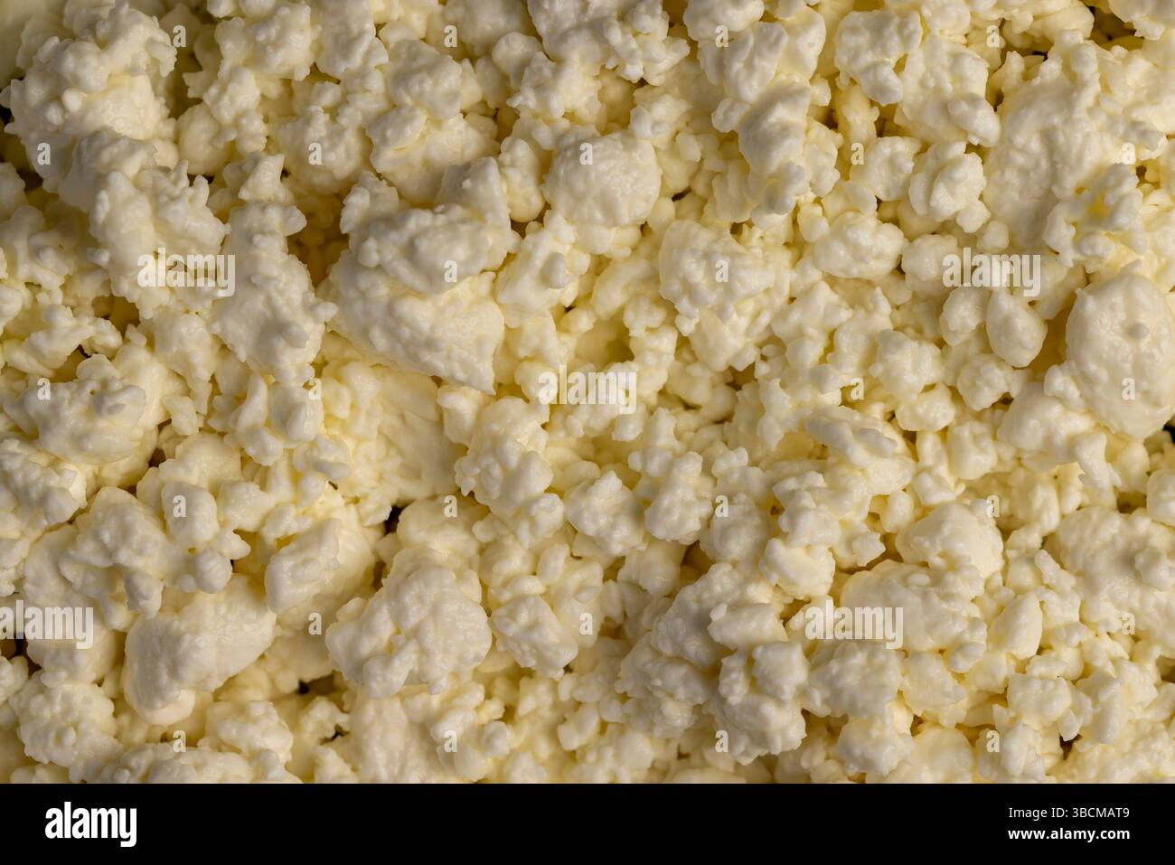 cottage cheese from milk in the form of lumps, lumps of freshly made ...