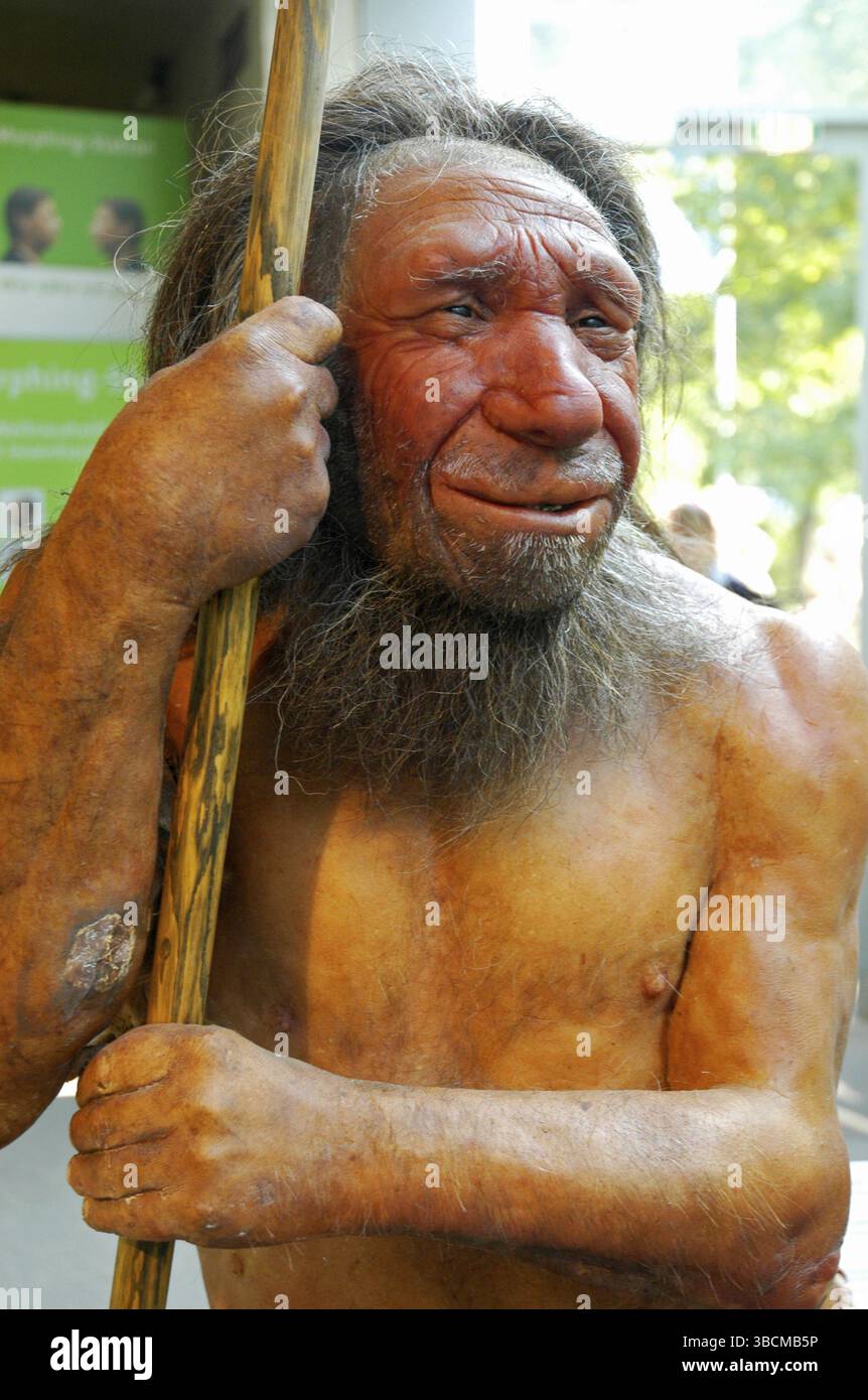 Neanderthal, Neanderthal Museum, Mettmann, North Rhine-Westphalia ...