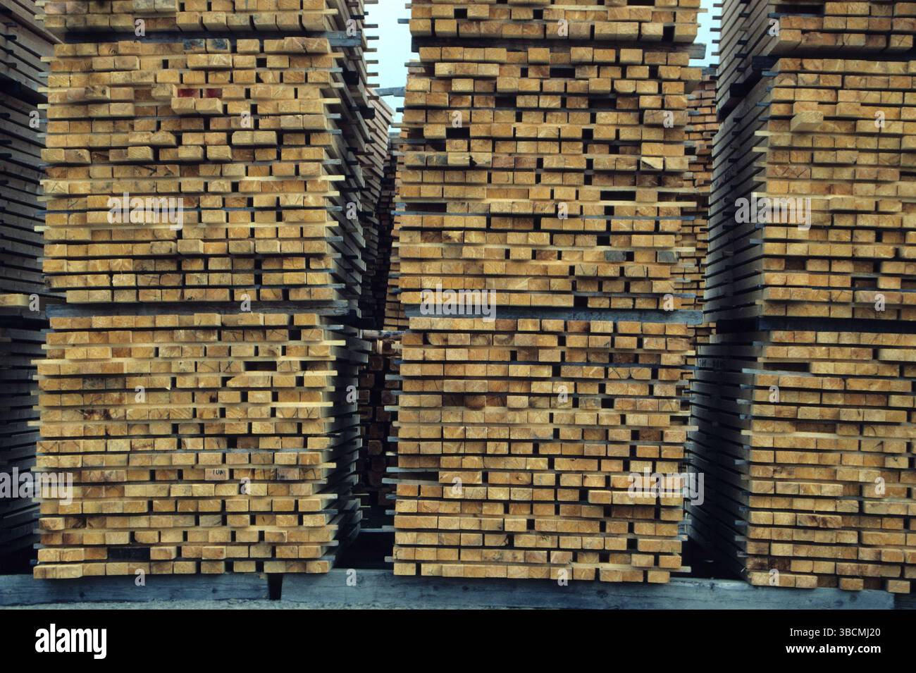 Pile of planks at sawmill, Kuusamo area, Finland, Pile of wooden planks ...