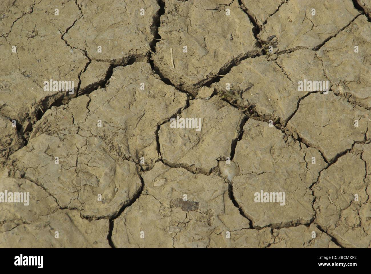 Dried out ground, dried out ground Stock Photo - Alamy