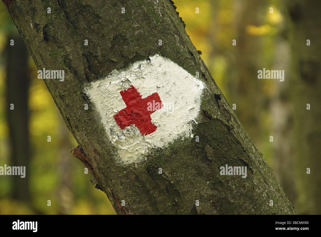 Sign post marking way hi-res stock photography and images - Alamy