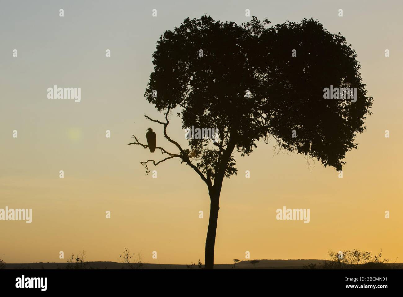 Sundown, background, sun, sky, evening, sunrise, landscape, dusk ...