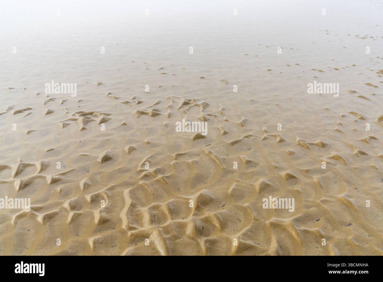 A close up view of sand structures at low tide on a beach Stock Photo ...