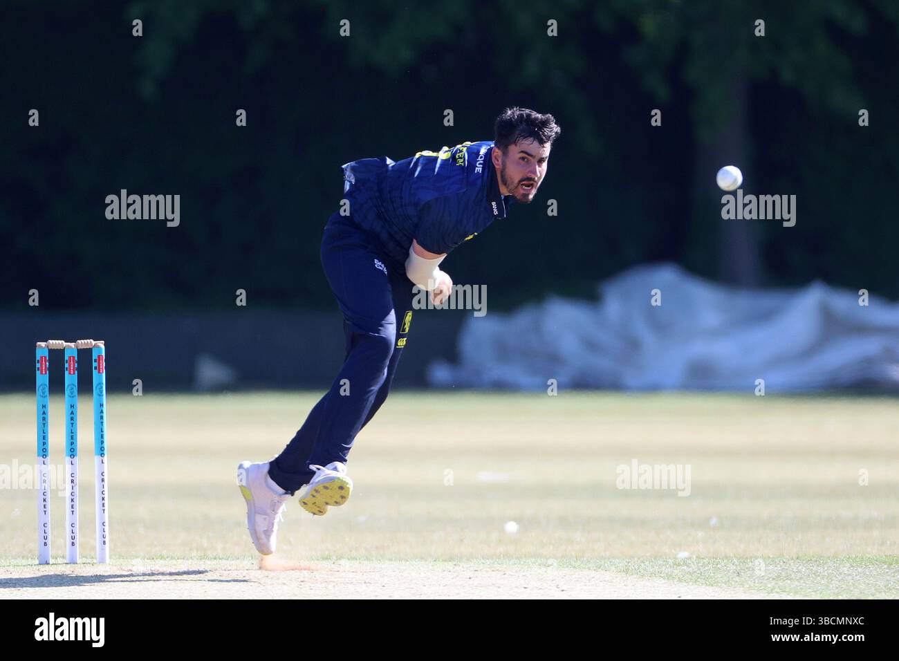 Mitchell kileen hi-res stock photography and images - Alamy