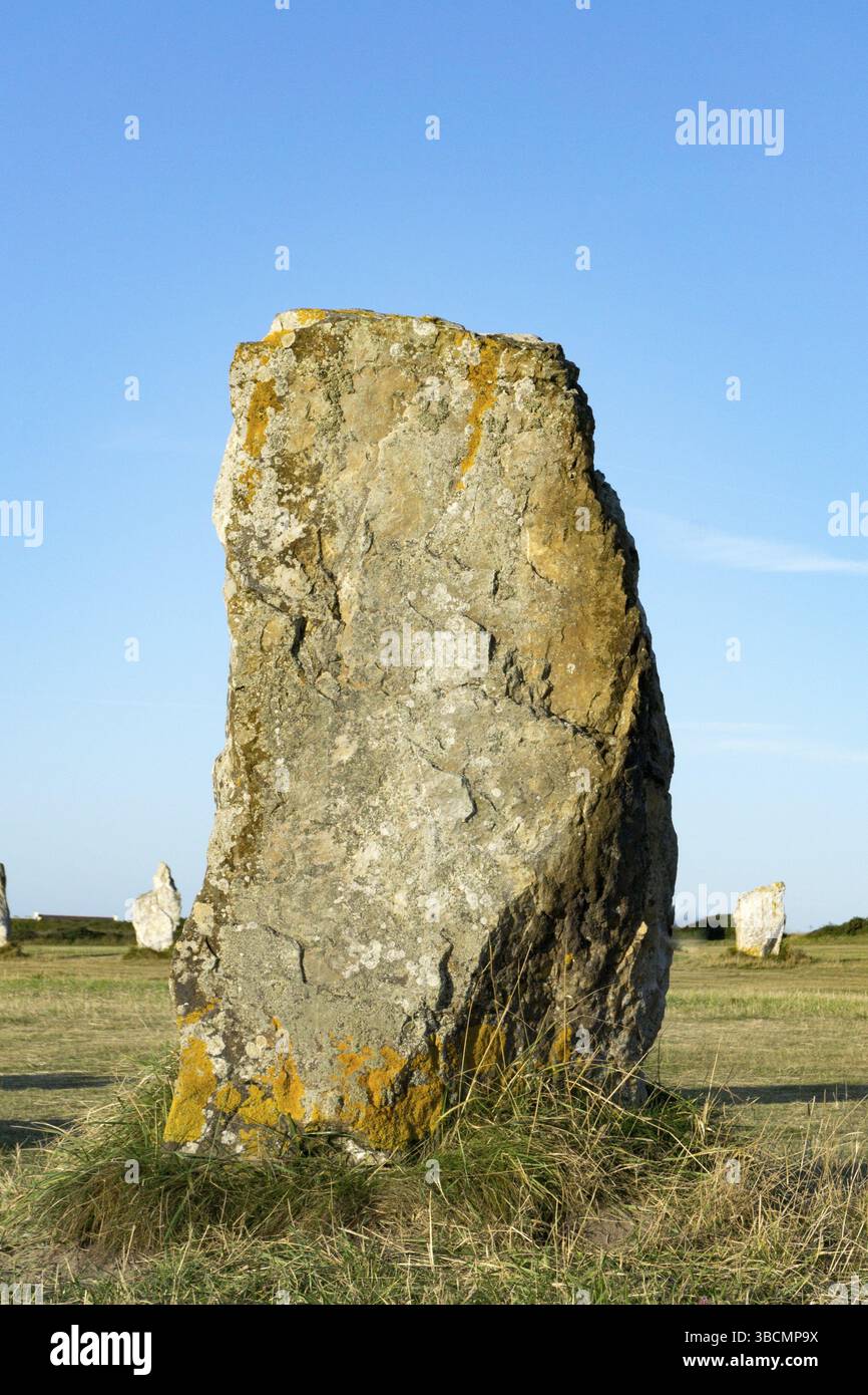 view of prehistoric monolith stone alignements in Brittany in warm ...