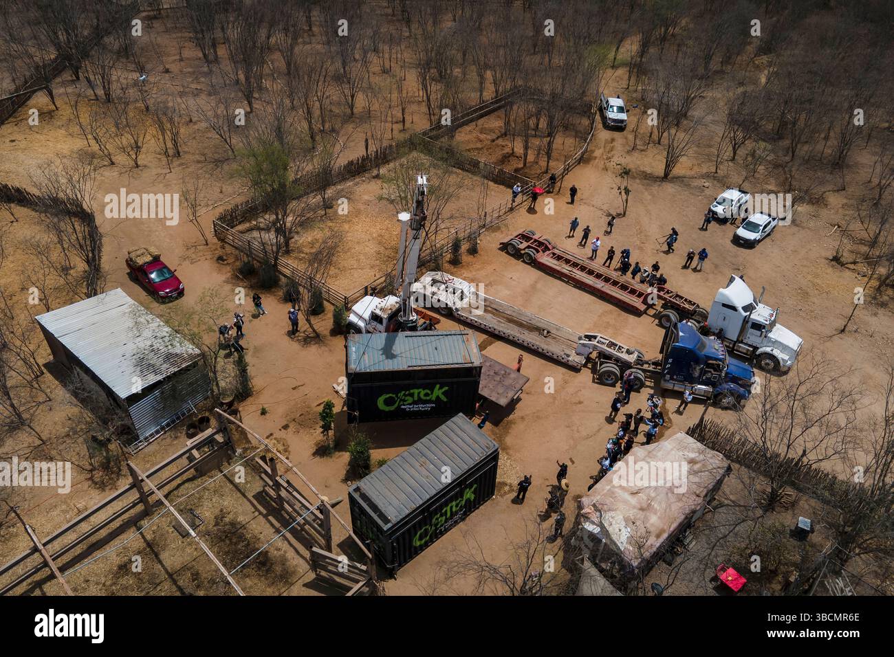 Ostok Sanctuary staff members move animals into trucks to transport ...