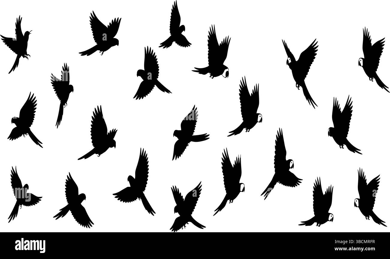 Birds in flight silhouettes hi-res stock photography and images - Alamy