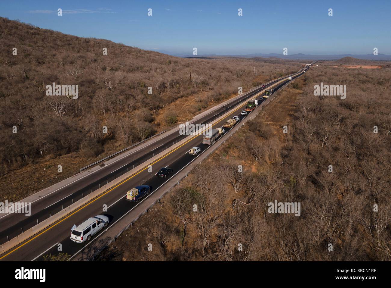 Ostok Sanctuary staff members transport animals in trucks to Mazatlan ...