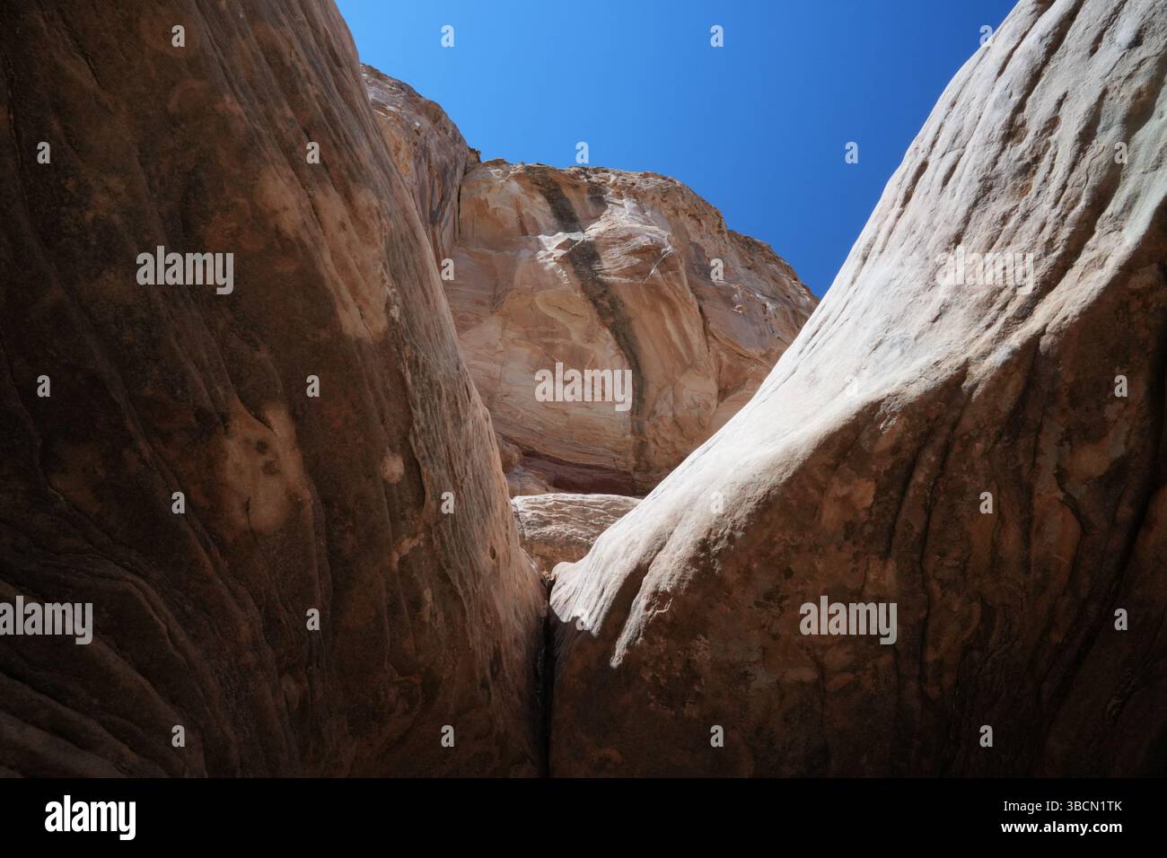 Capitol Reef, Utah, USA. 20th May, 2025. Scenes from Capitol Reef ...