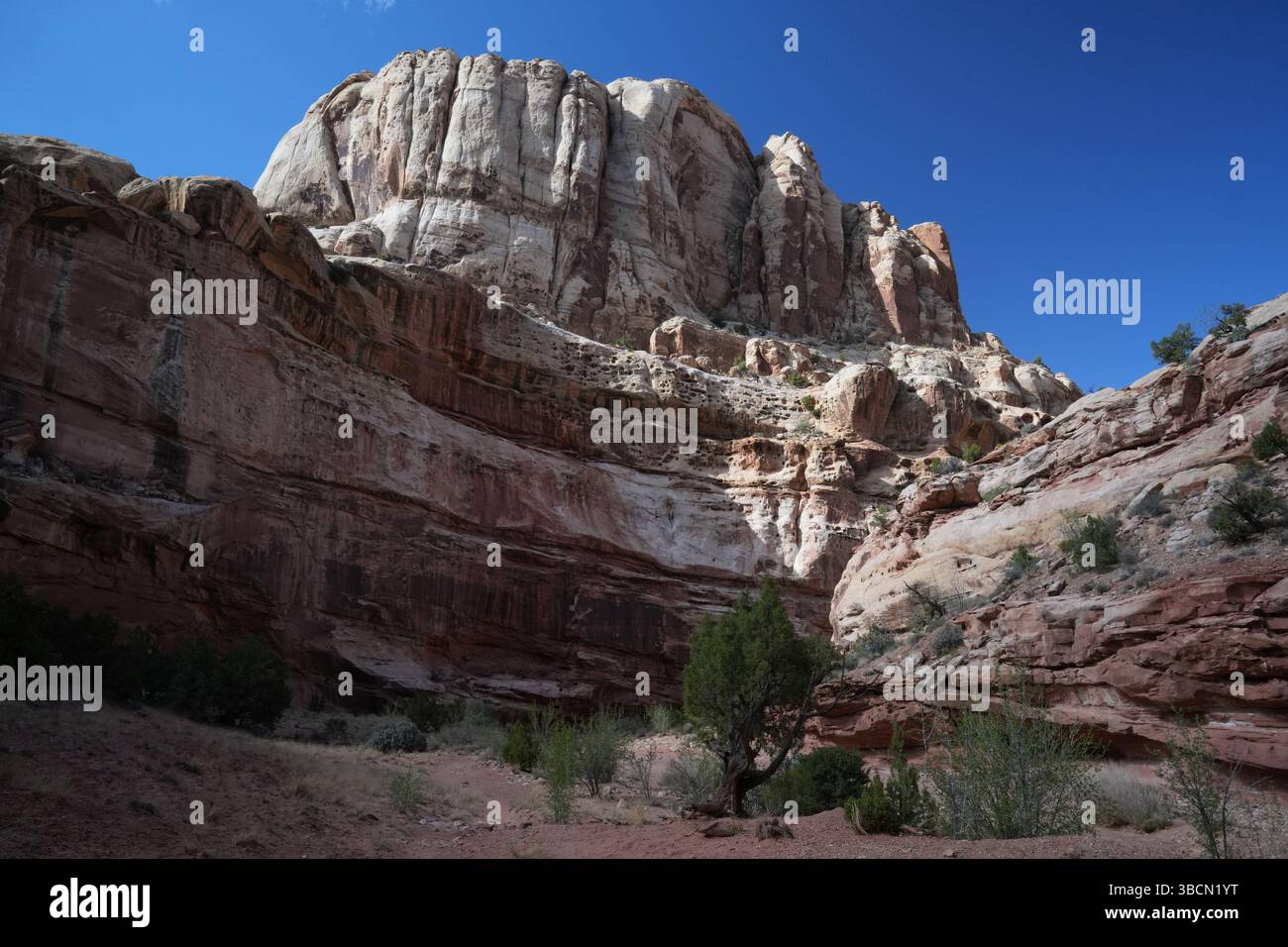 Capitol Reef, Utah, USA. 20th May, 2025. Scenes from Capitol Reef ...