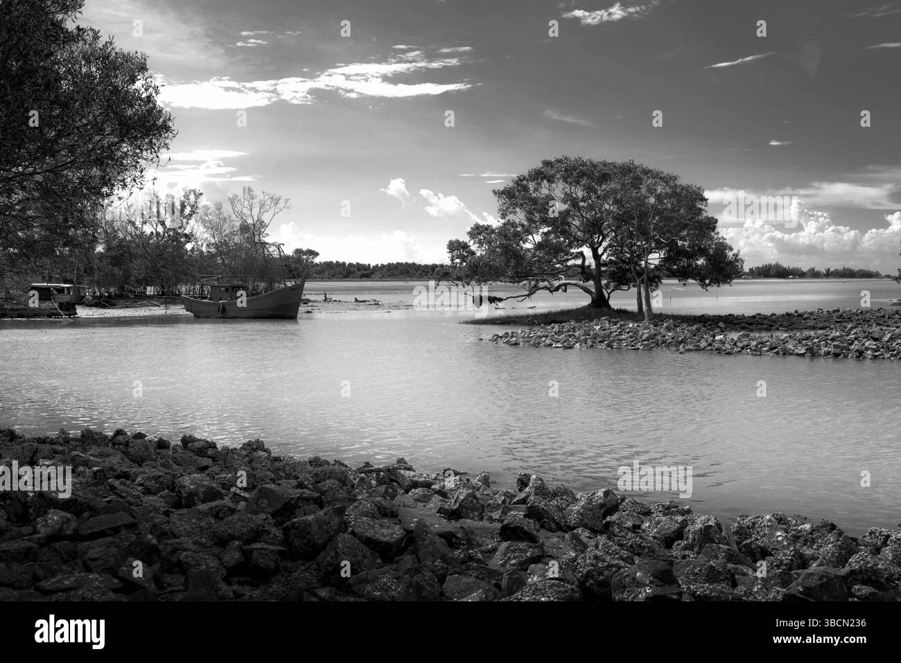 Tranquility at Rach Bung estuary – where fishing boats rest under the ...