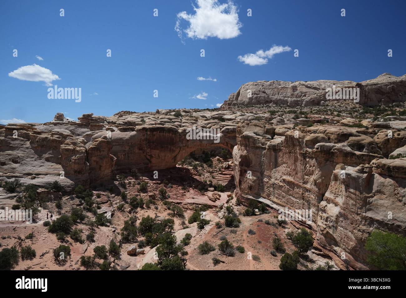 Capitol Reef, Utah, USA. 20th May, 2025. Scenes from Capitol Reef ...