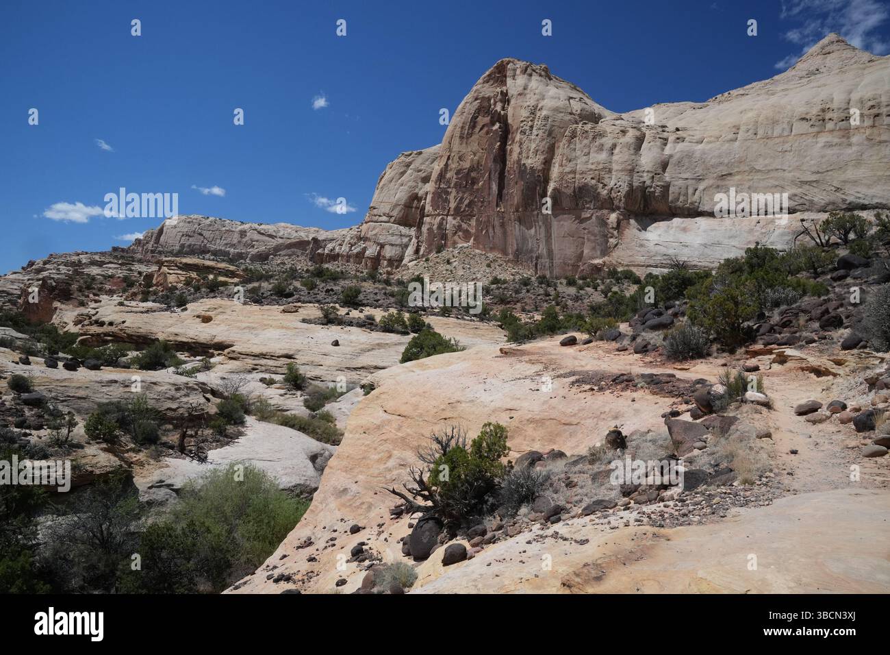 Capitol Reef, Utah, USA. 20th May, 2025. Scenes from Capitol Reef ...