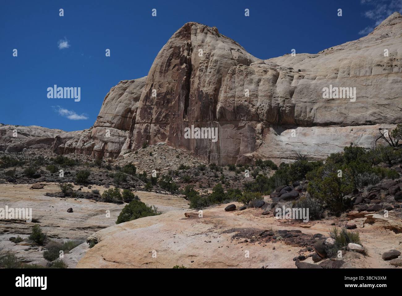 Capitol Reef, Utah, USA. 20th May, 2025. Scenes from Capitol Reef ...