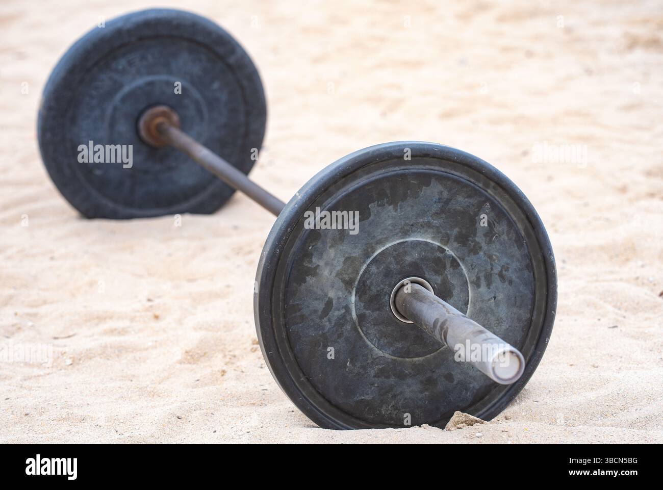 Summer workout with Barbell weights. Barbell in nature setting ...
