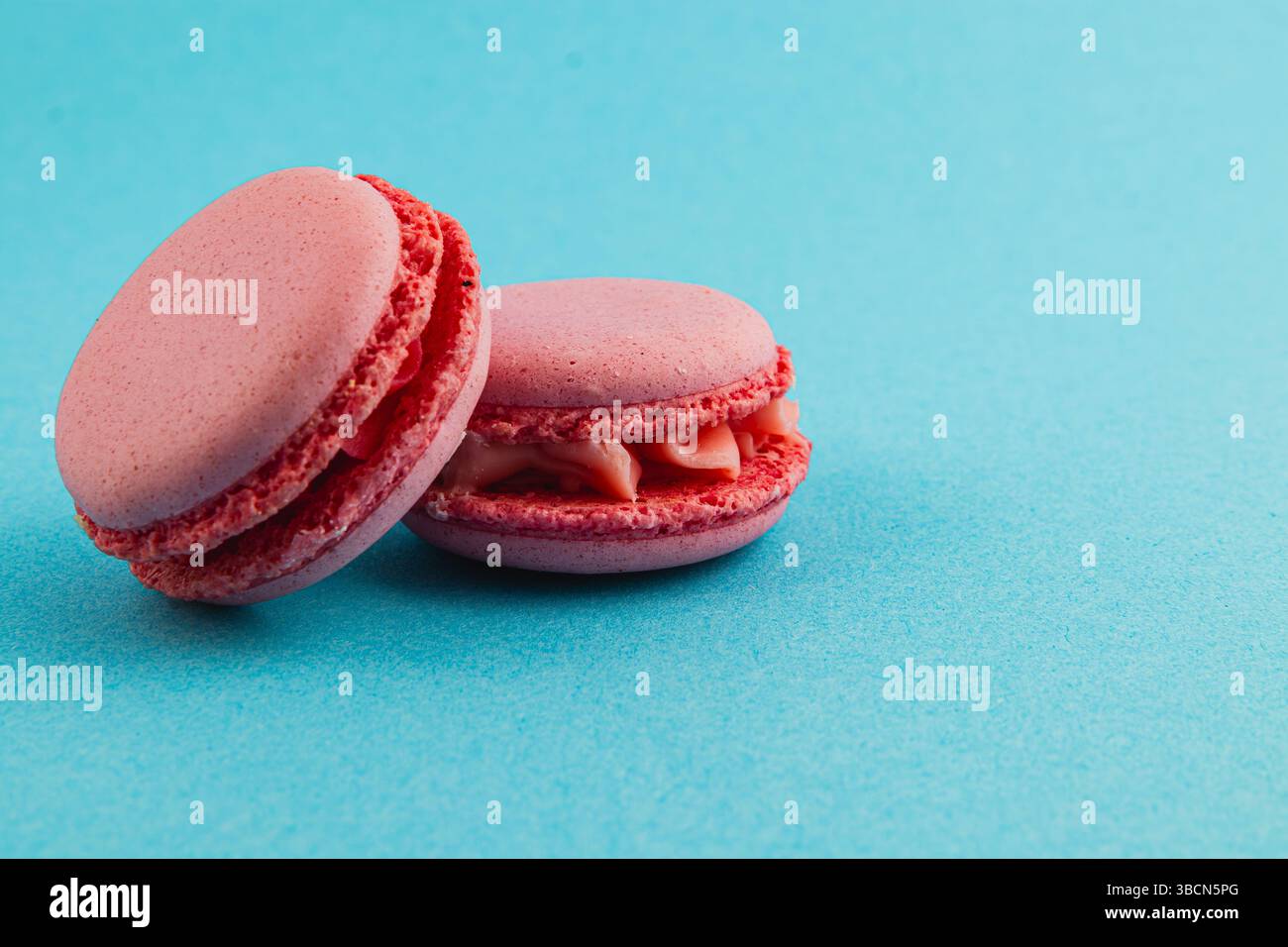 Two soft pink macarons are placed next to each other on a vibrant ...