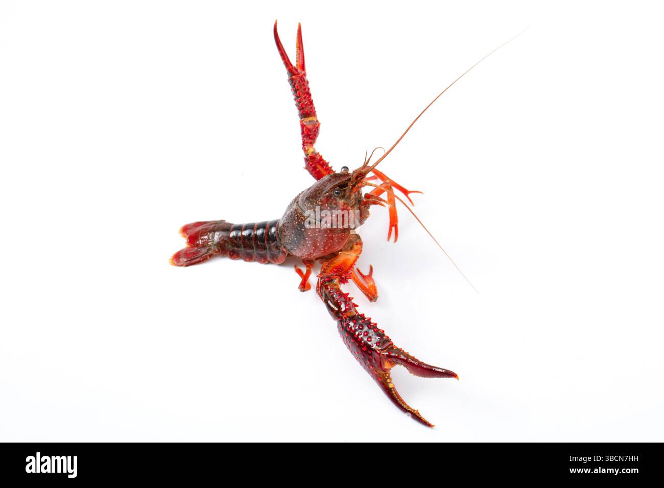 Ecological mariculture hi-res stock photography and images - Alamy