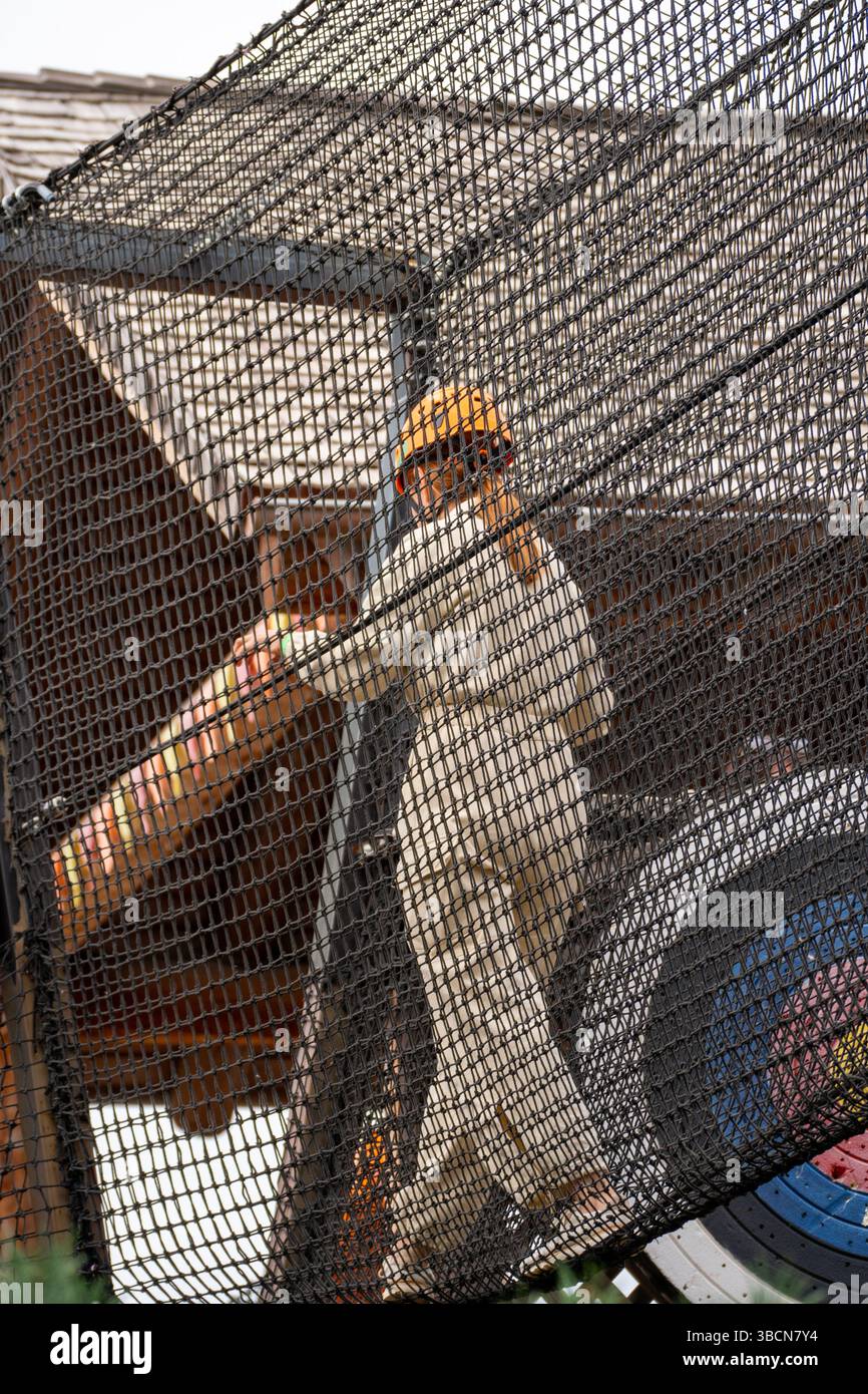 Batting cage baseball practice hi-res stock photography and images - Alamy