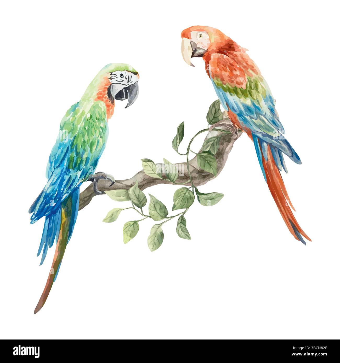 Macaw parrots sitting on a branch. Blue and red bird, watercolor. Hand ...