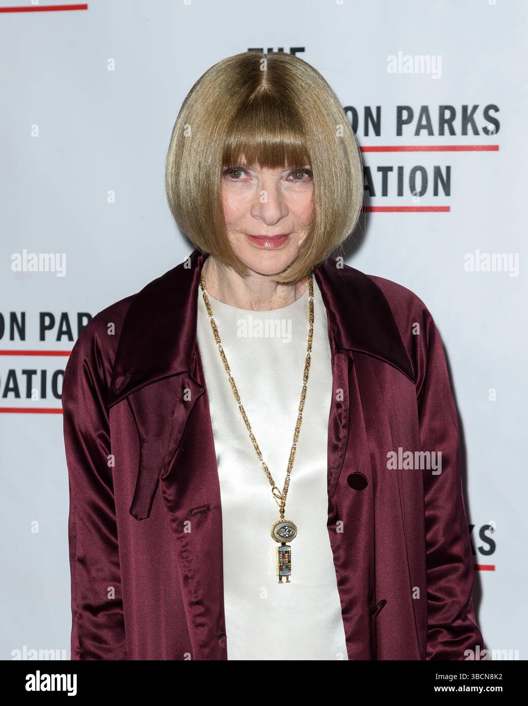 Anna Wintour attends the Gordon Parks Foundation Gala at Cipriani 42nd ...