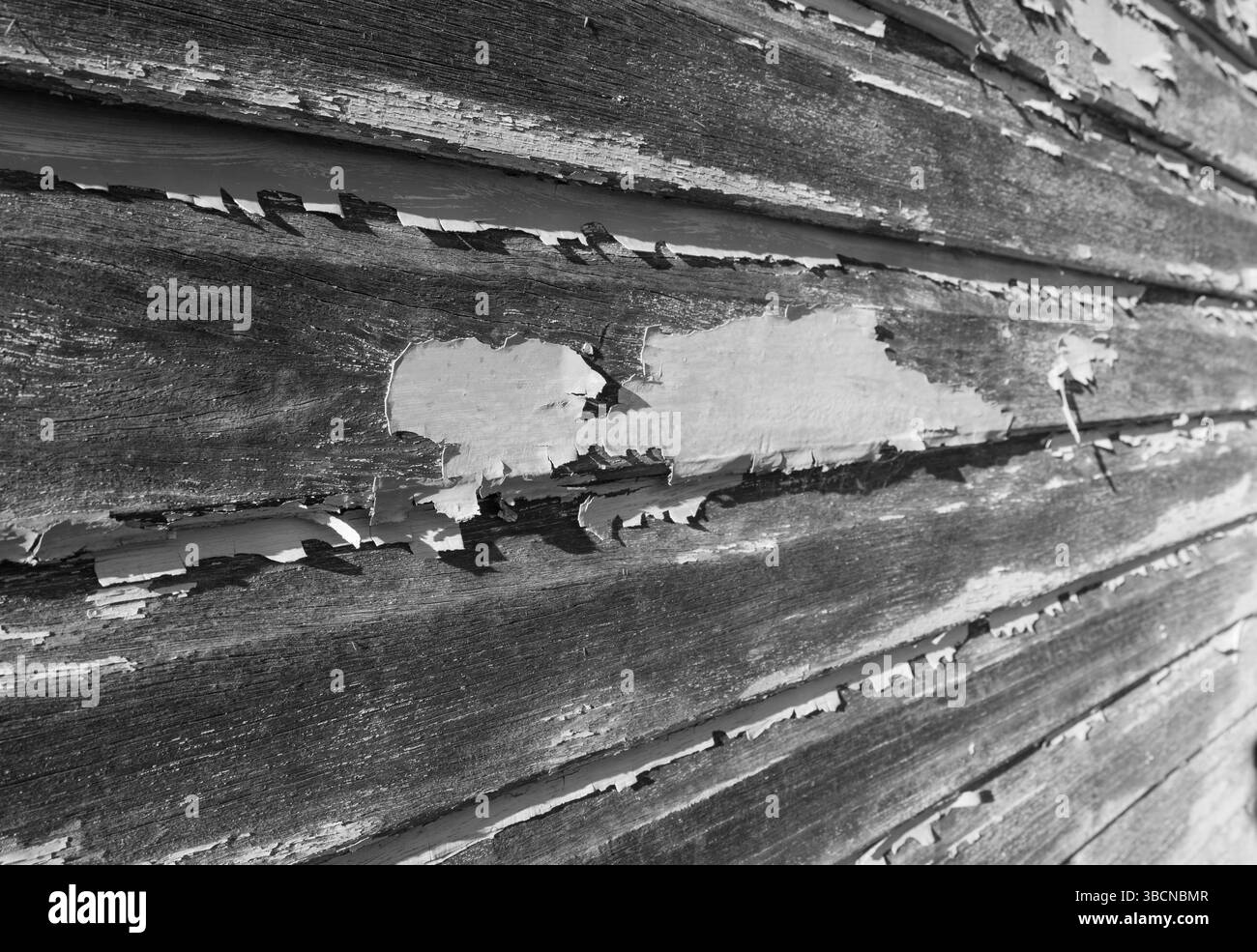 repeating pattern abstract of tongue and groove timber cladding with ...