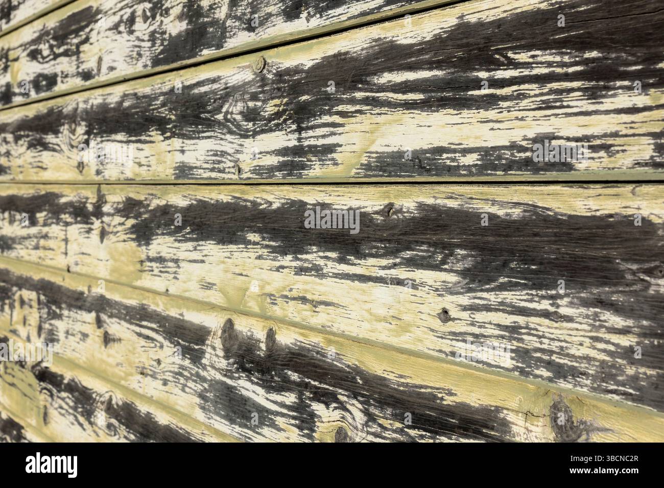 repeating pattern abstract of tongue and groove timber cladding with ...