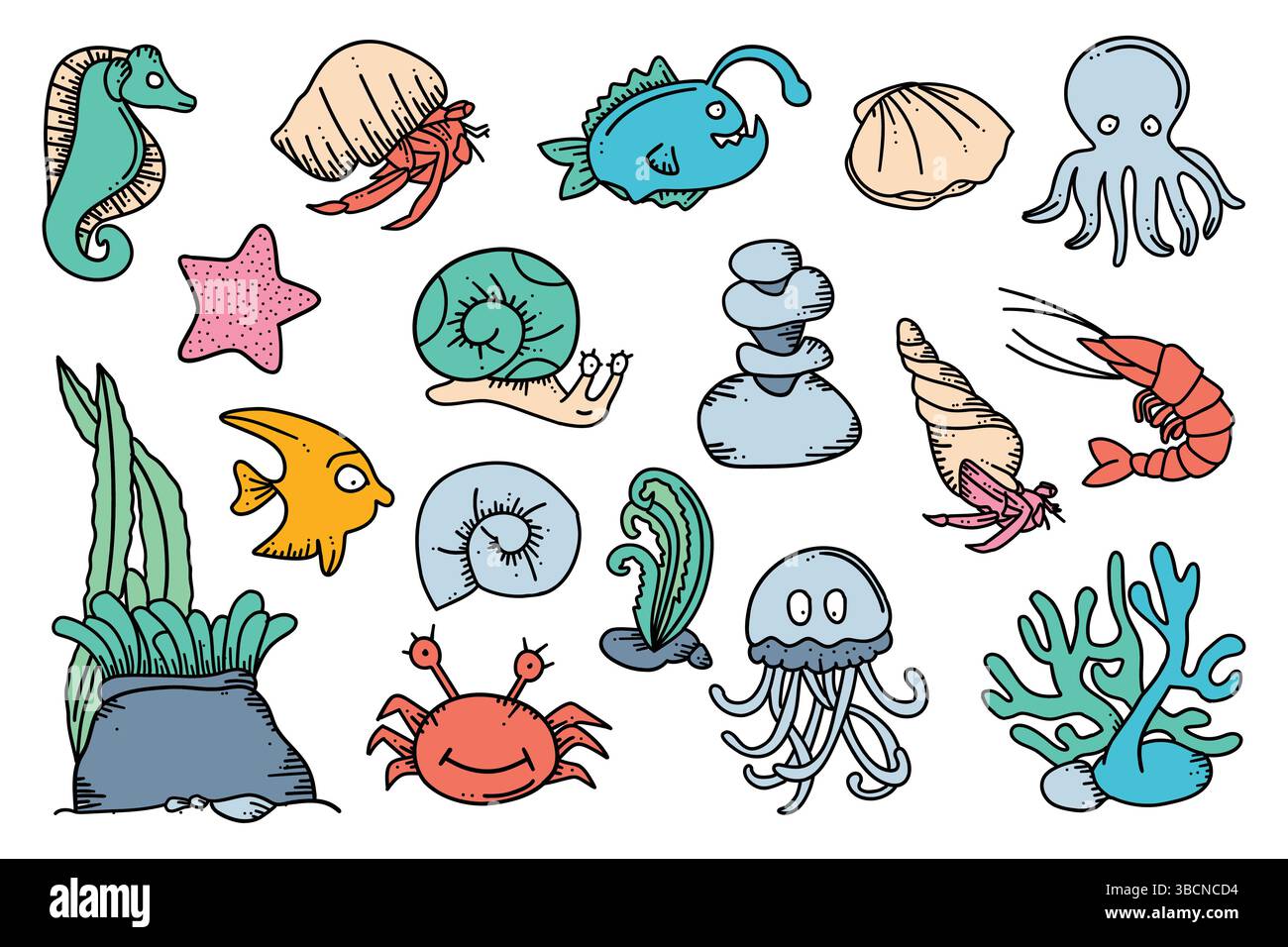 Whimsical sea life illustration displays various marine creatures in a ...