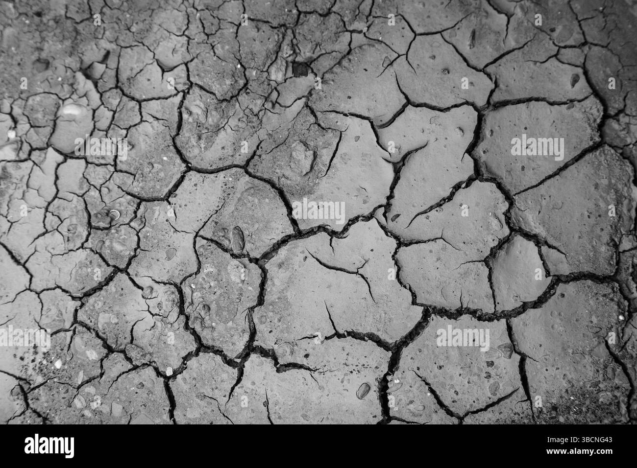 Close-up of cracked, dried earth Stock Photo - Alamy