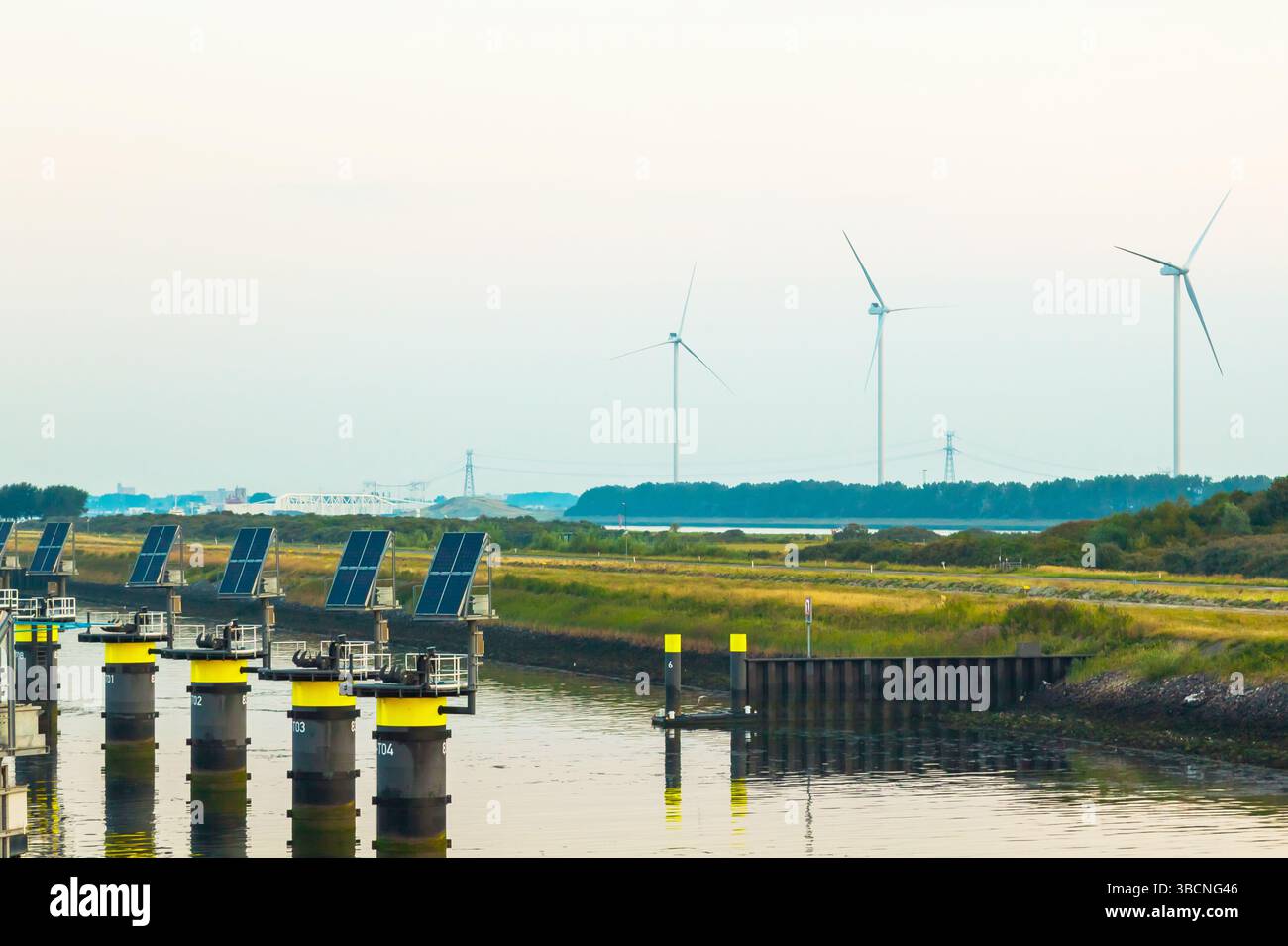 Berths with solar panels installed on them in a bay near the coast ...