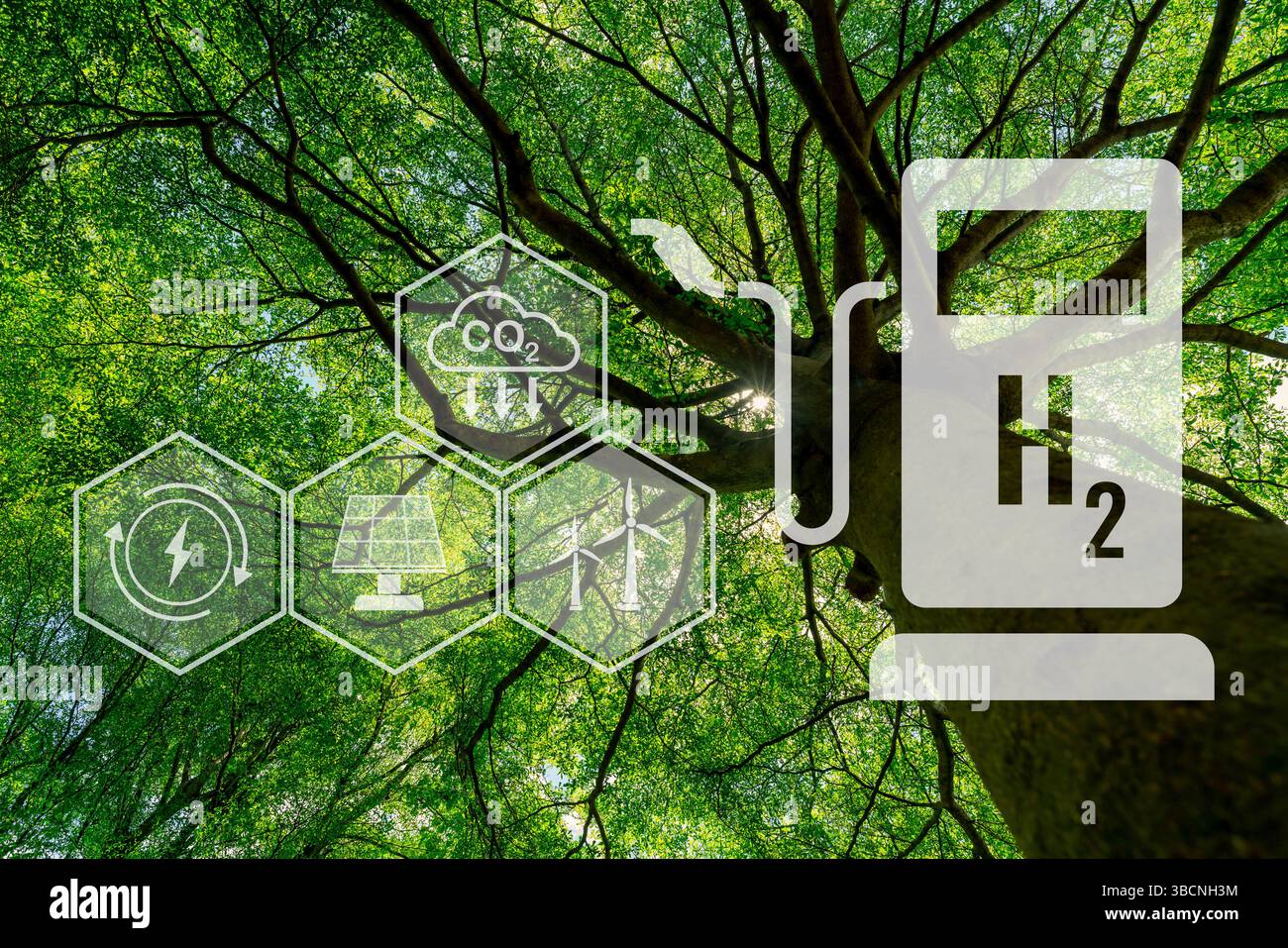 Green hydrogen energy. Wind turbine and solar panel powering hydrogen ...