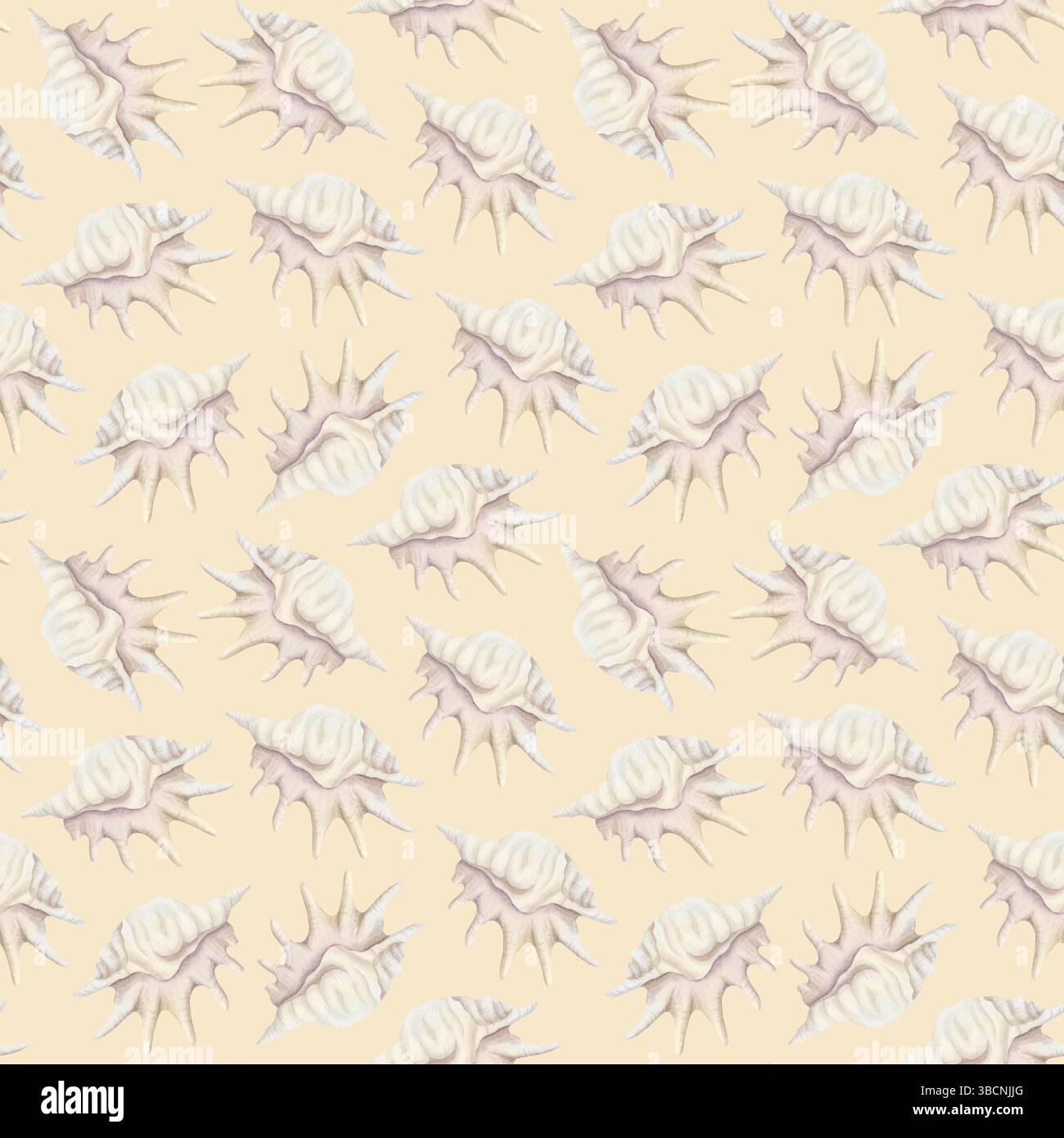 Coastal white seashell seamless pattern on pastel beige. Hand drawn sea ...