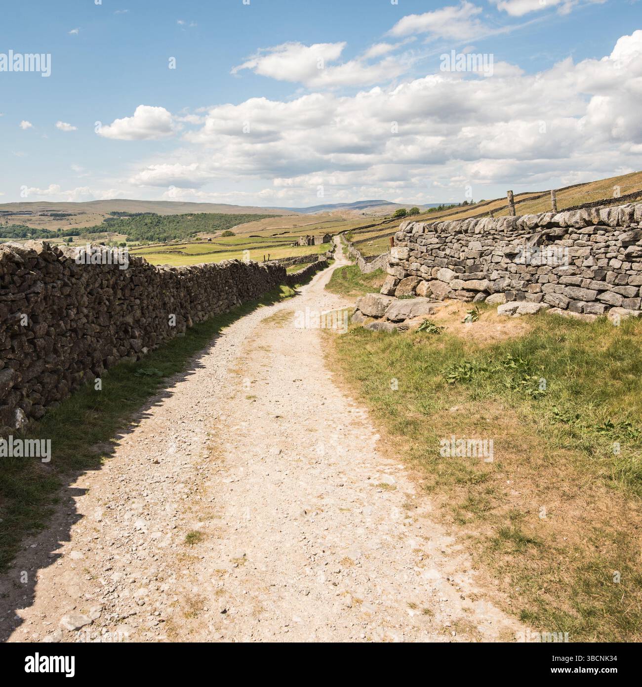 Distant Grass Wood (LHS) seen from Edge Lane between Grassington and ...
