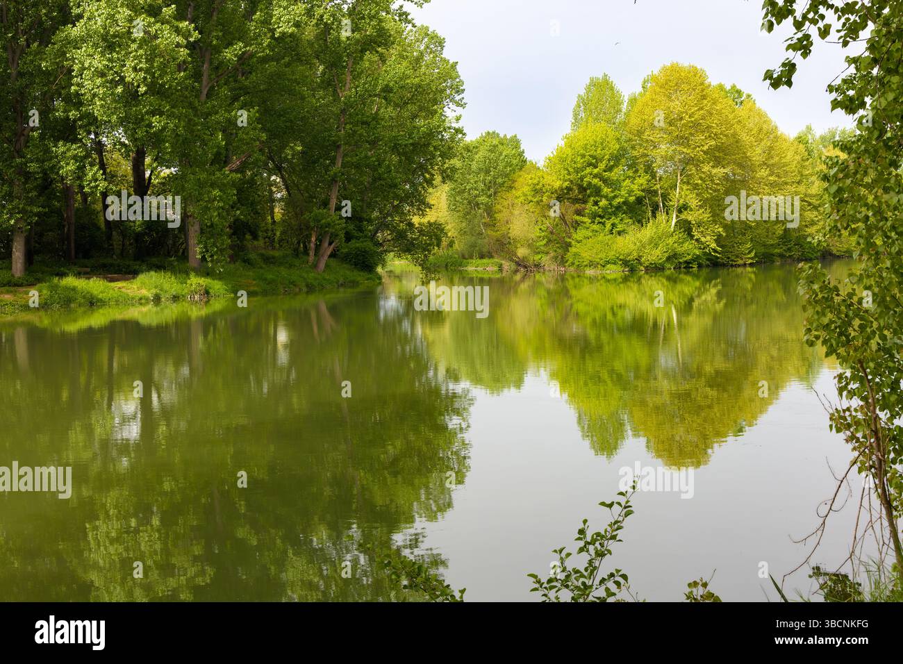 Tributary of the ter river hi-res stock photography and images - Alamy