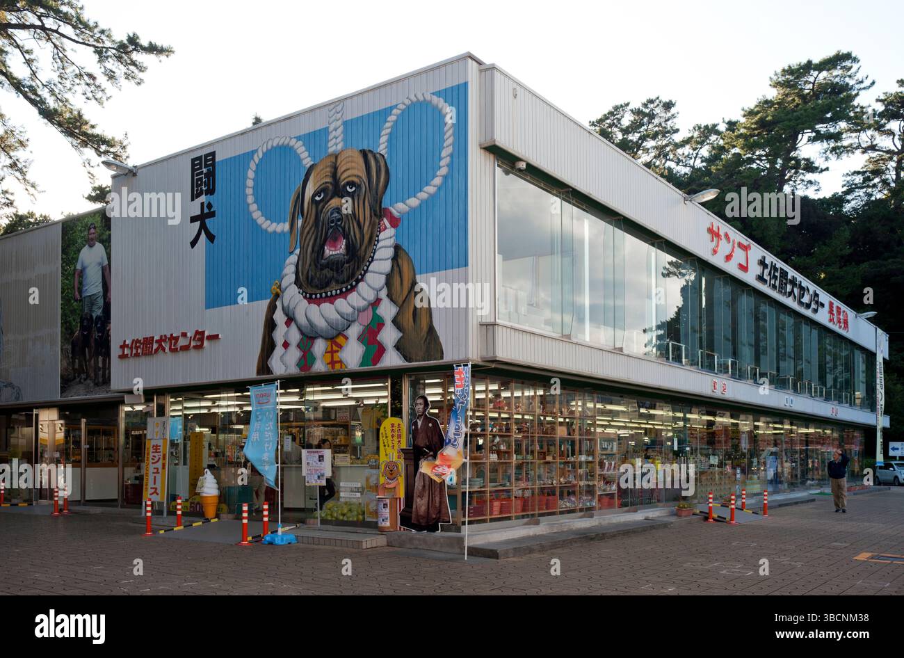 Tosa Inu (土佐犬), also called the Tosa-ken and Japanese Mastiff, is a dog ...