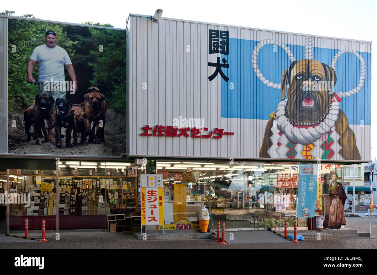 Tosa omiyage hi-res stock photography and images - Alamy