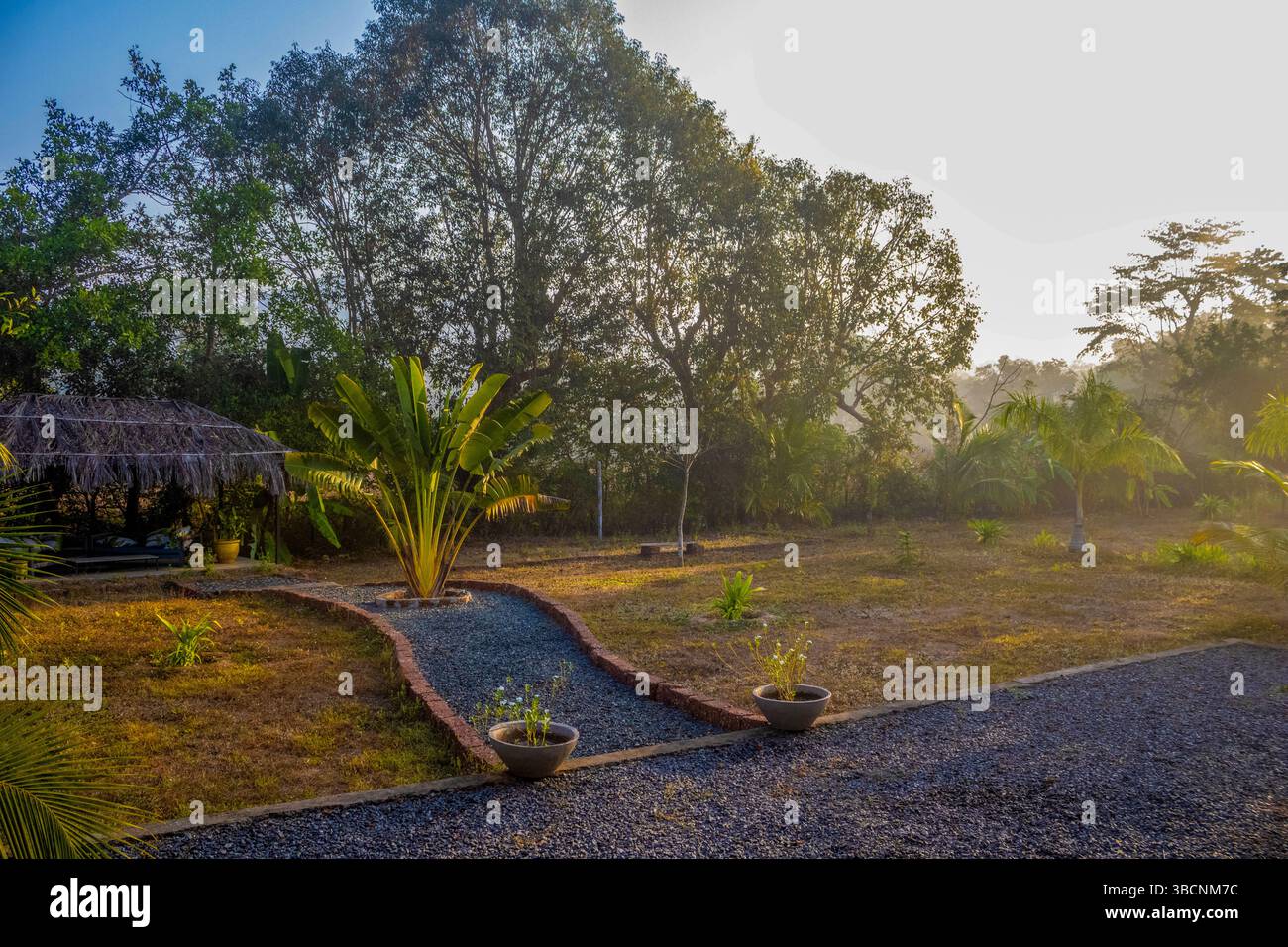 Garden in Agonda, Goa, India Stock Photo - Alamy