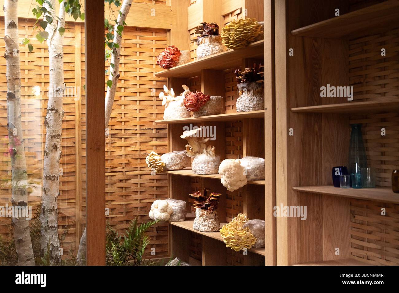 FILE PICS. 21st May, 2025. Tom Massey and Je Ahn’s The Avanade ...